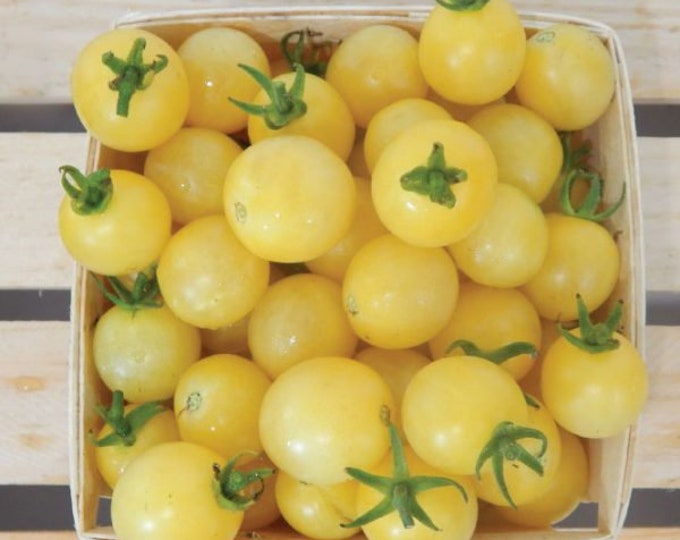 USA SELLER German Strawberry Tomato 25 Seeds HEIRLOOM Solanum ...
