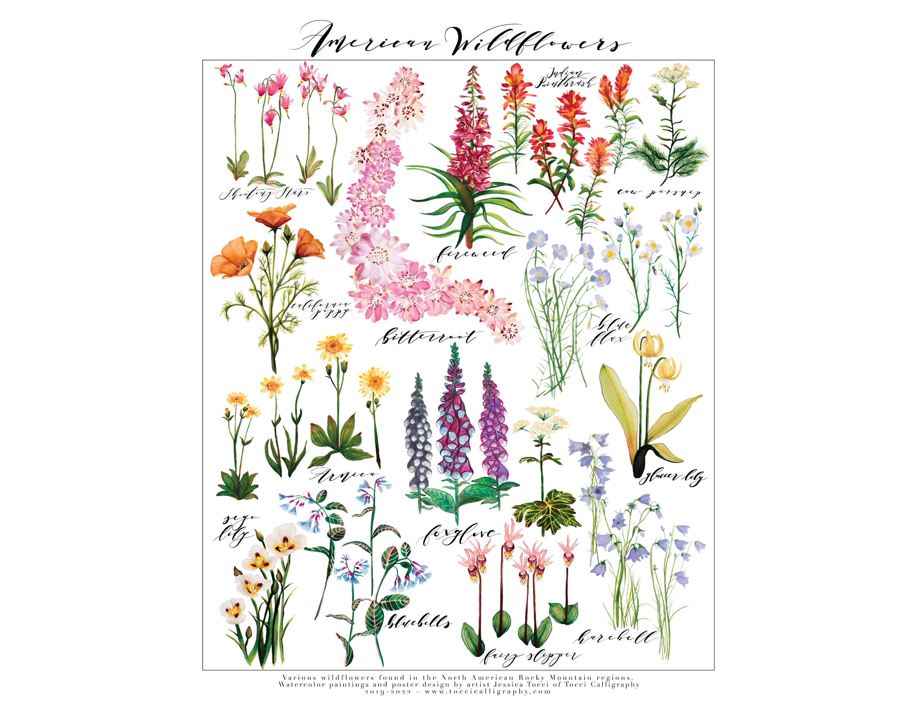 Wildflower Chart Watercolor Art Print - Etsy