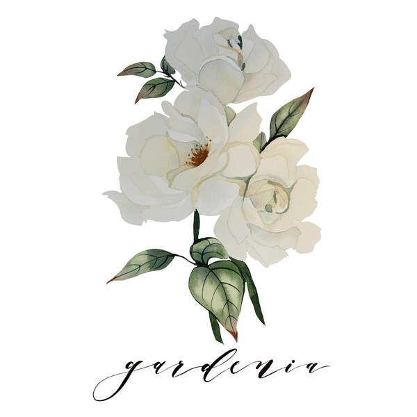 Gardenia Print - Etsy