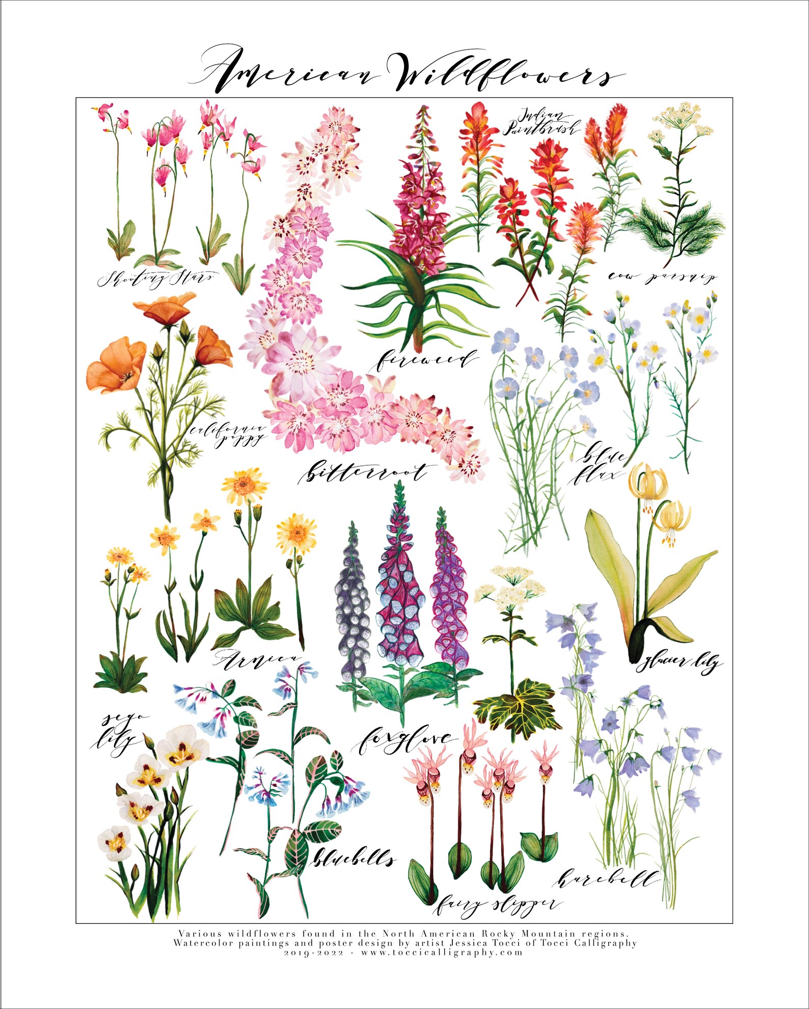 Wildflower Chart Watercolor Art Print | Etsy
