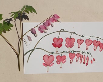 Bleeding Heart Art Watercolor Painting Print by Cathy - Etsy