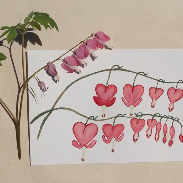 Bleeding Heart Art - Etsy