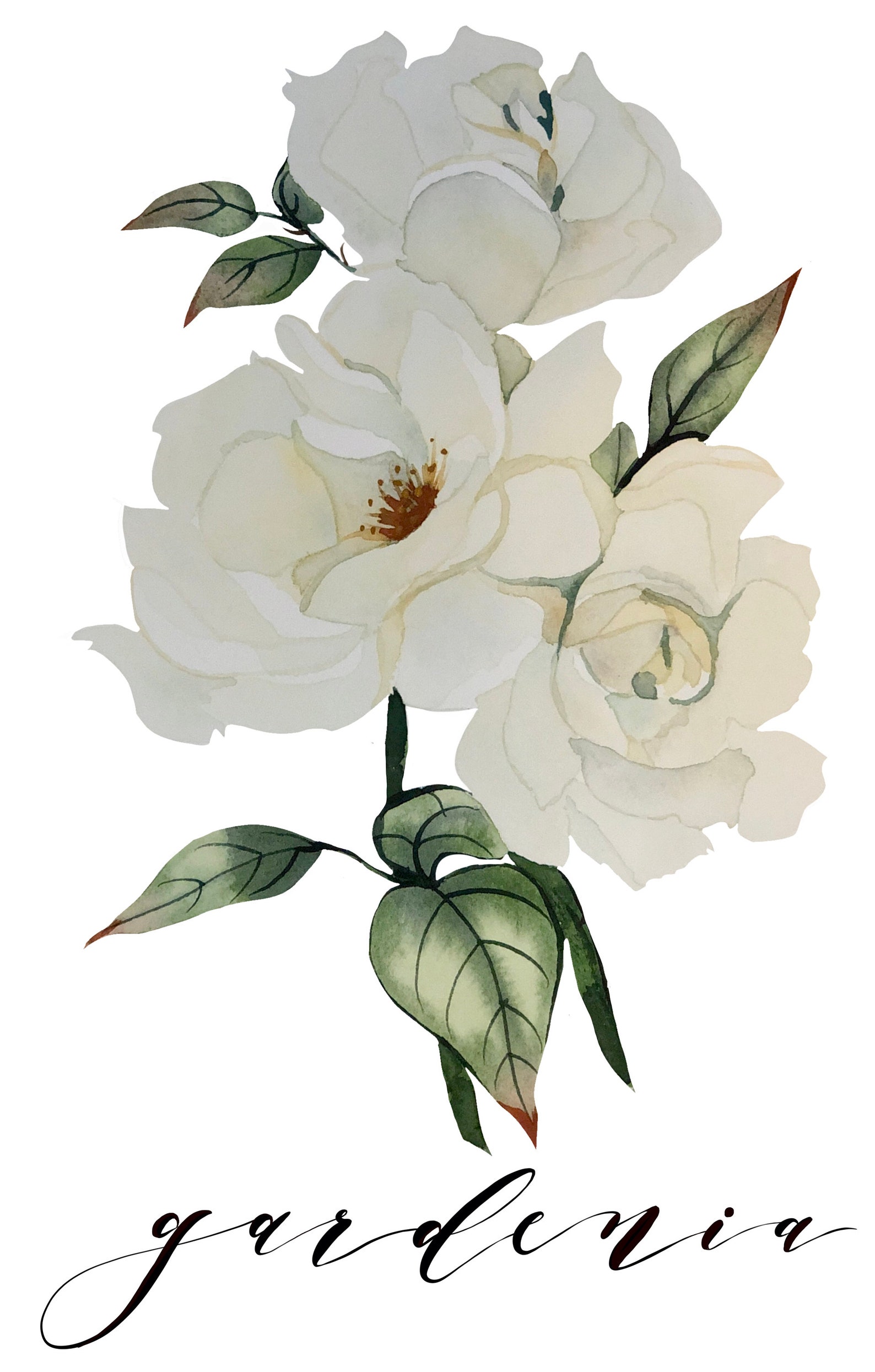Gardenia Watercolor Art Print - Etsy