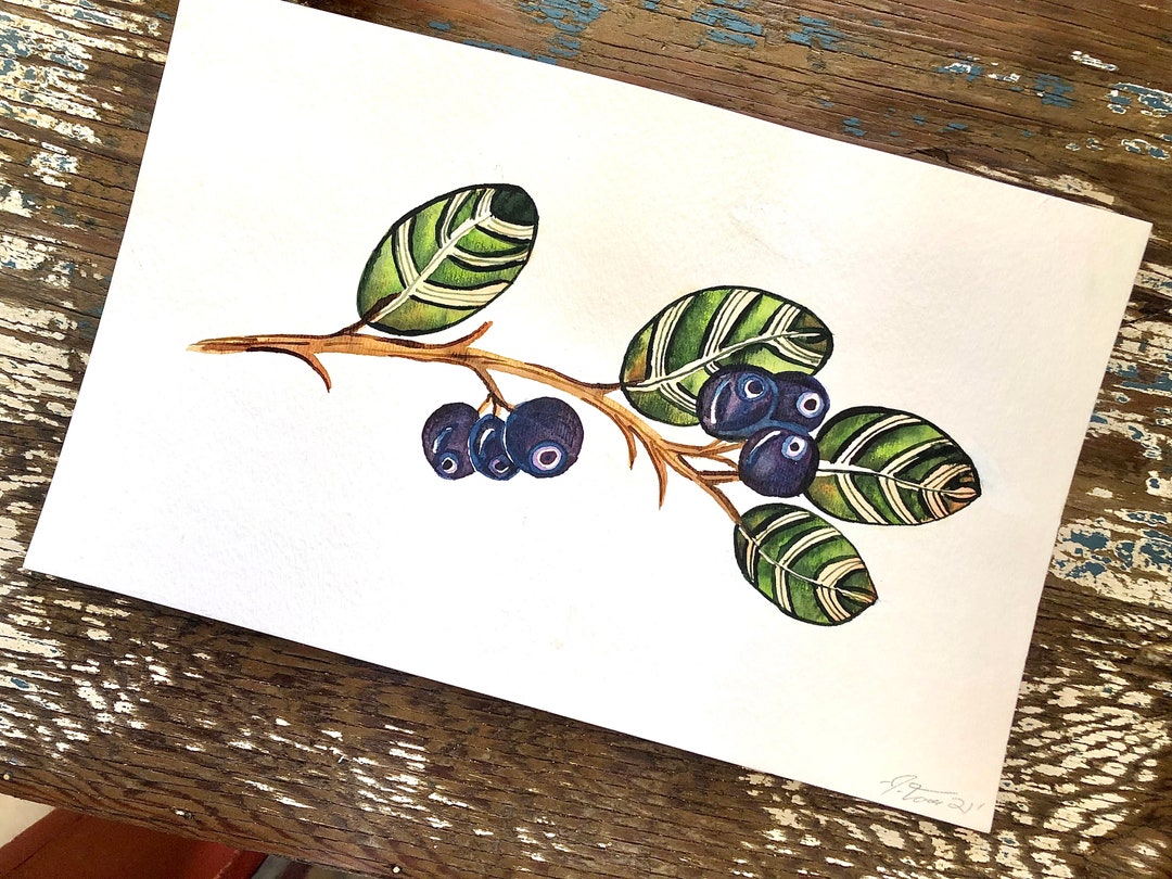 Original Huckleberry Watercolor Painting - Etsy