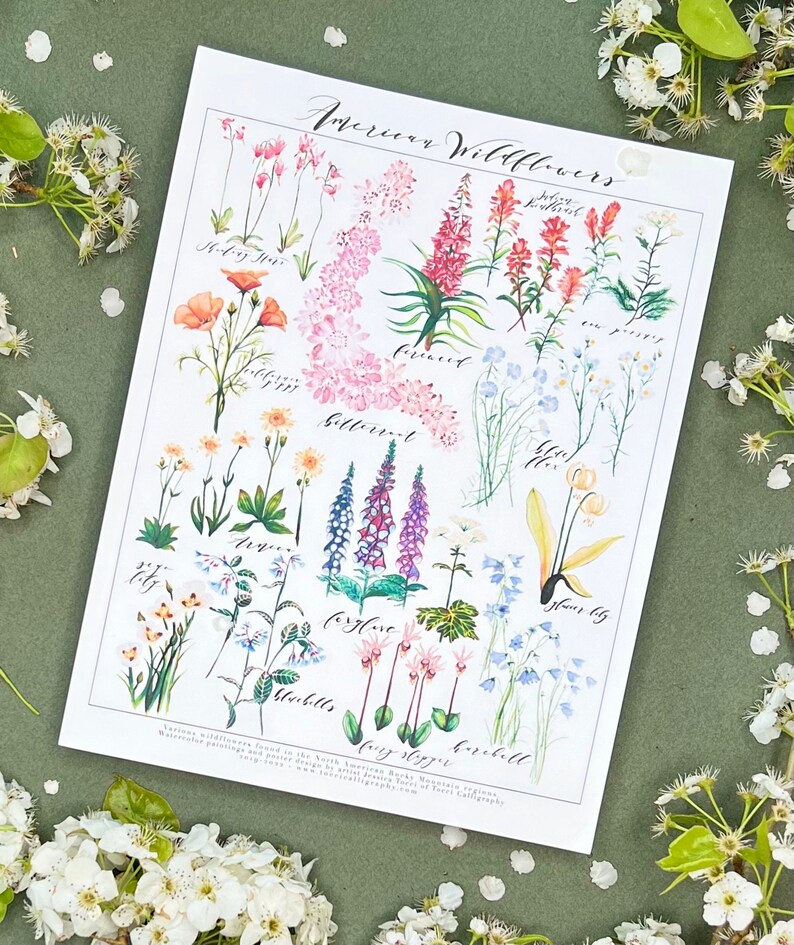 Wildflower Chart Watercolor Art Print - Etsy