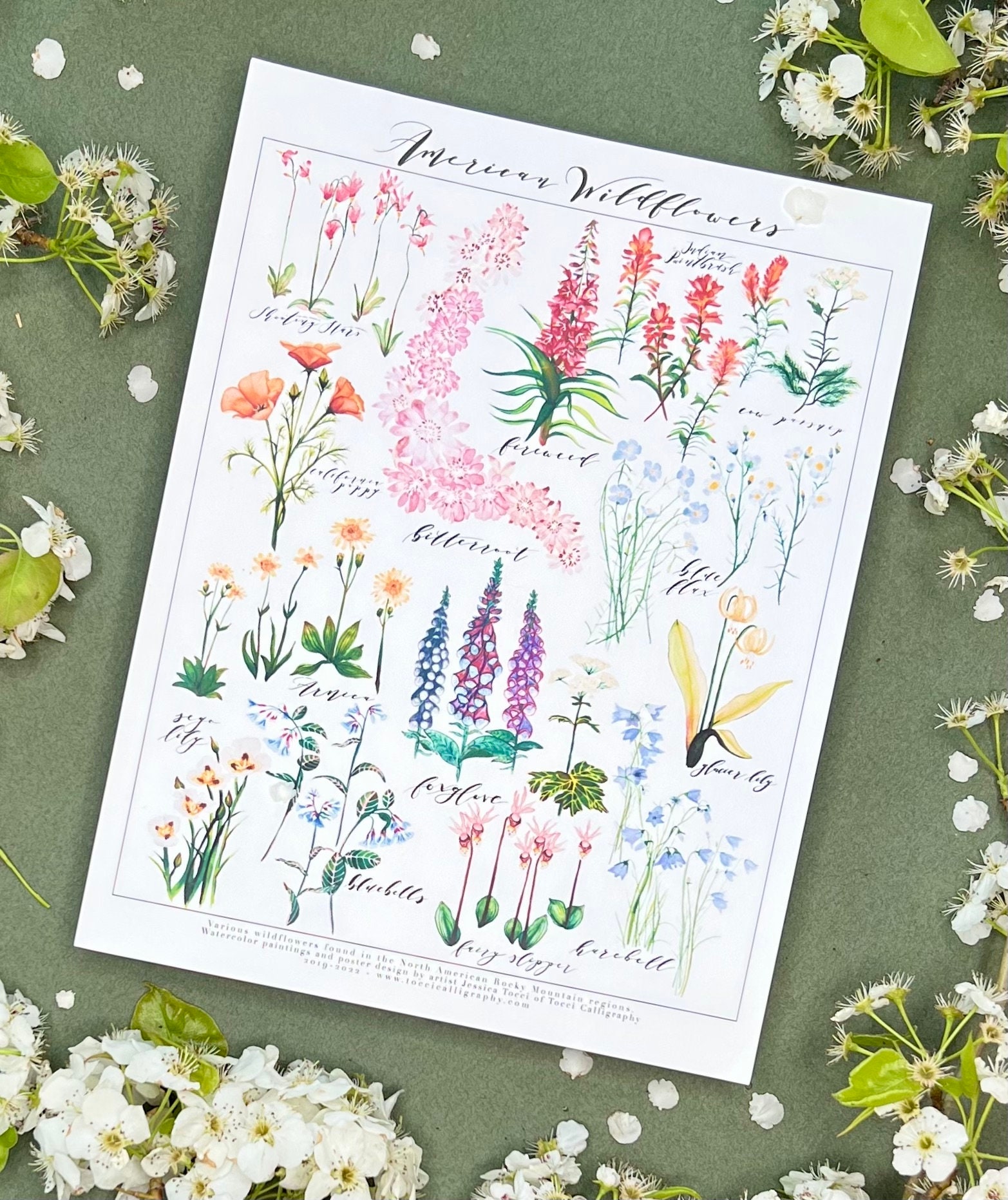 Wildflower Chart Watercolor Art Print - Etsy