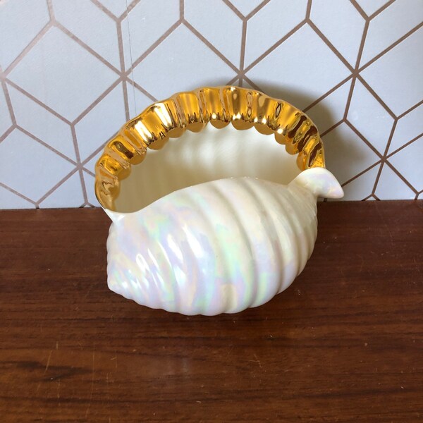 Conch Shell Planter - Etsy