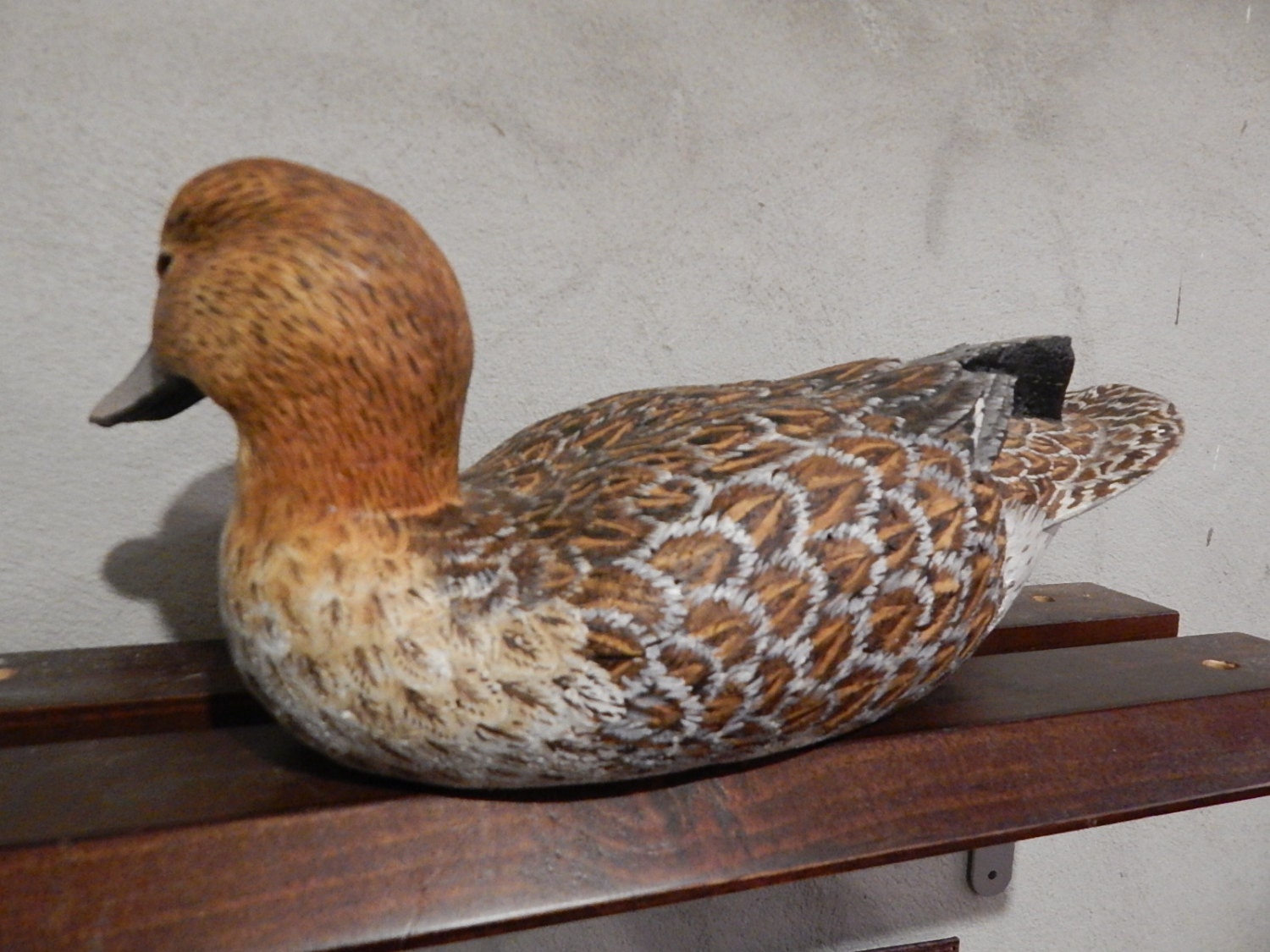 Pintail Hen, Cork Decoy - Etsy