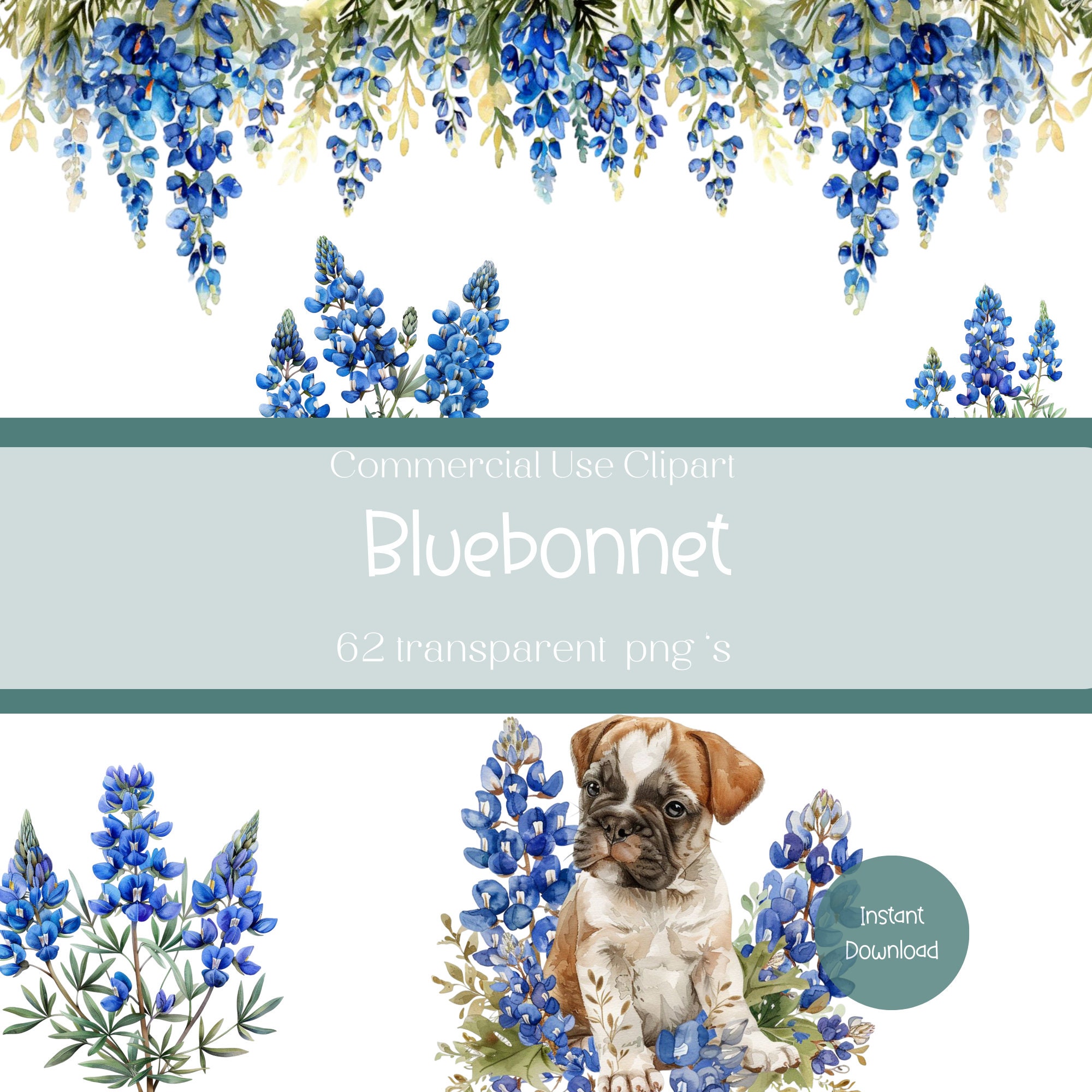 Texas Bluebonnet Watercolor Clipart, Wildflower Graphics, Spring Floral ...
