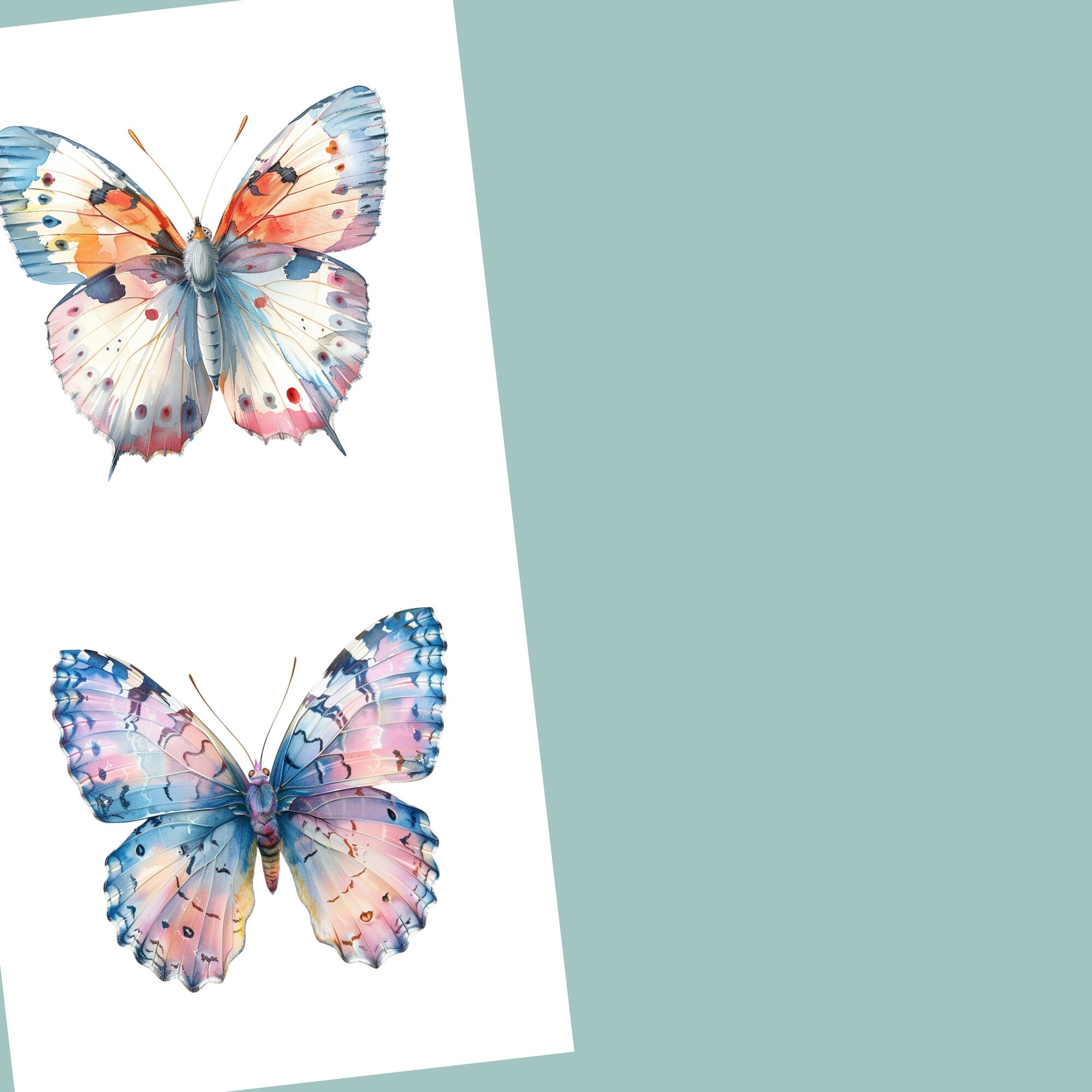 Watercolor Butterflies Clipart Set, Butterfly Graphics, Digital ...