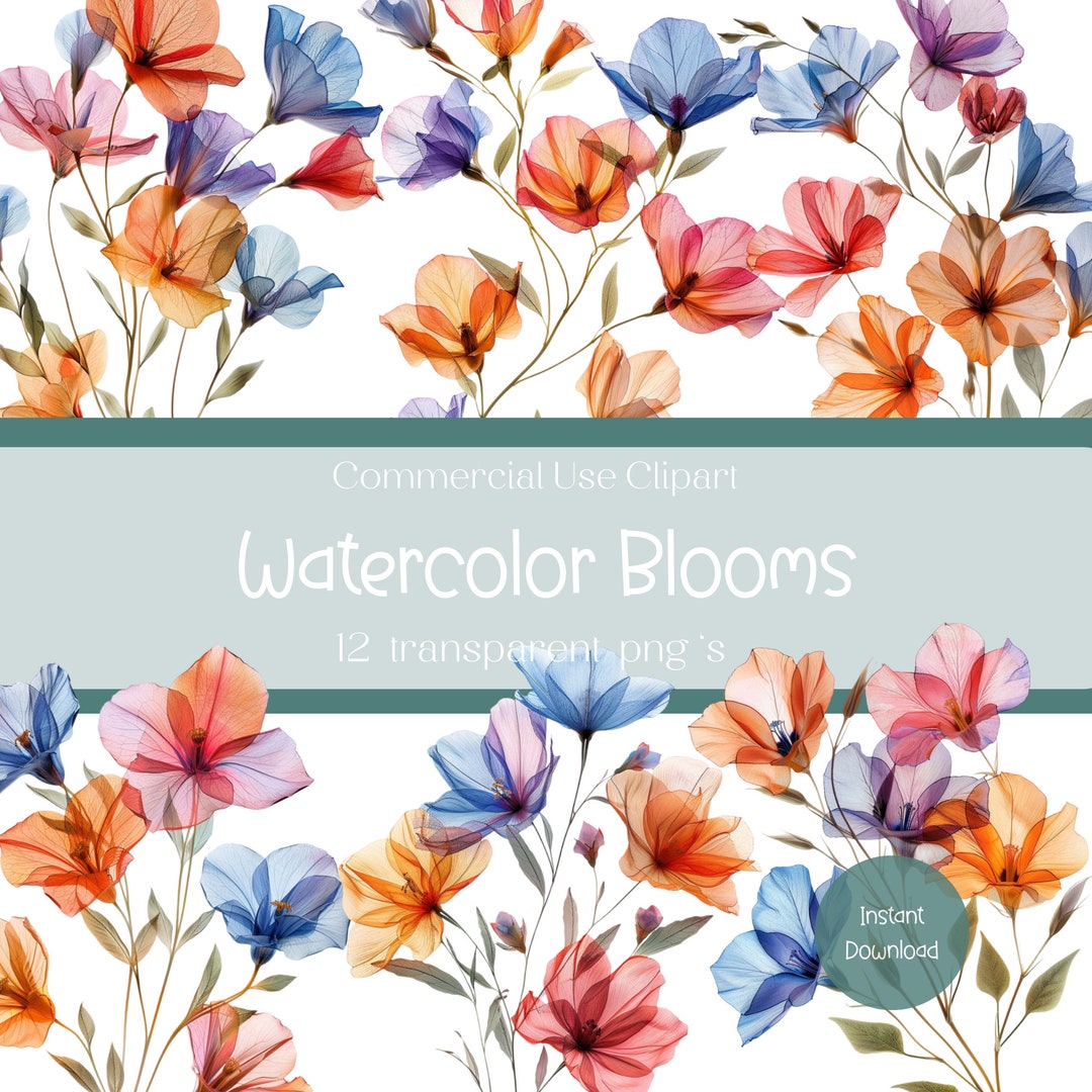 Watercolor Blooms Clipart Set, Floral Graphics Bundle, Hand Painted ...