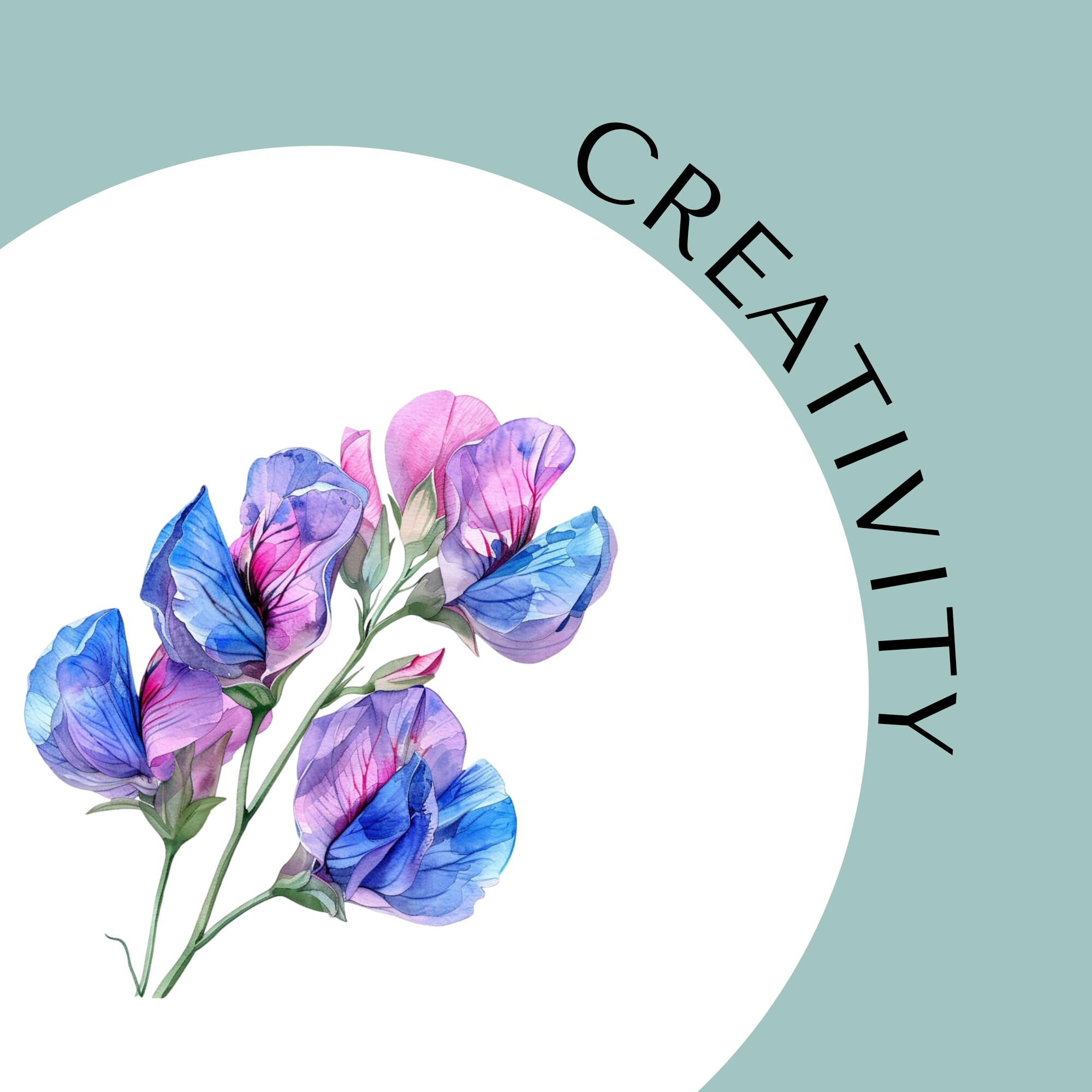 Sweet Pea Clipart Set, Floral Digital Graphics, Instant Download ...