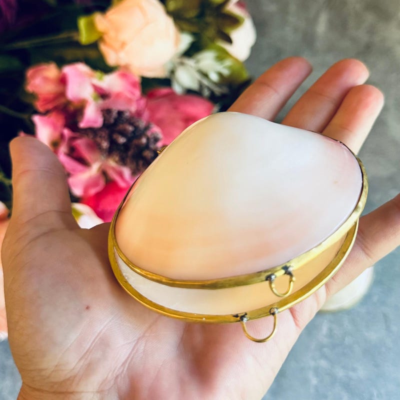 Shell Coin Purse - Etsy