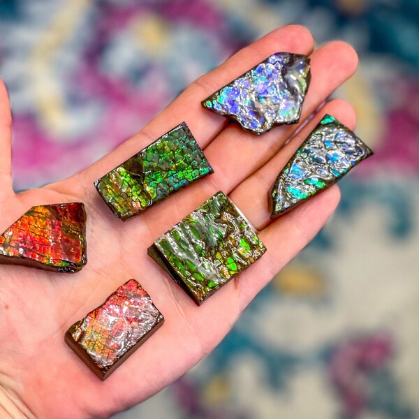 Ammolite - Etsy