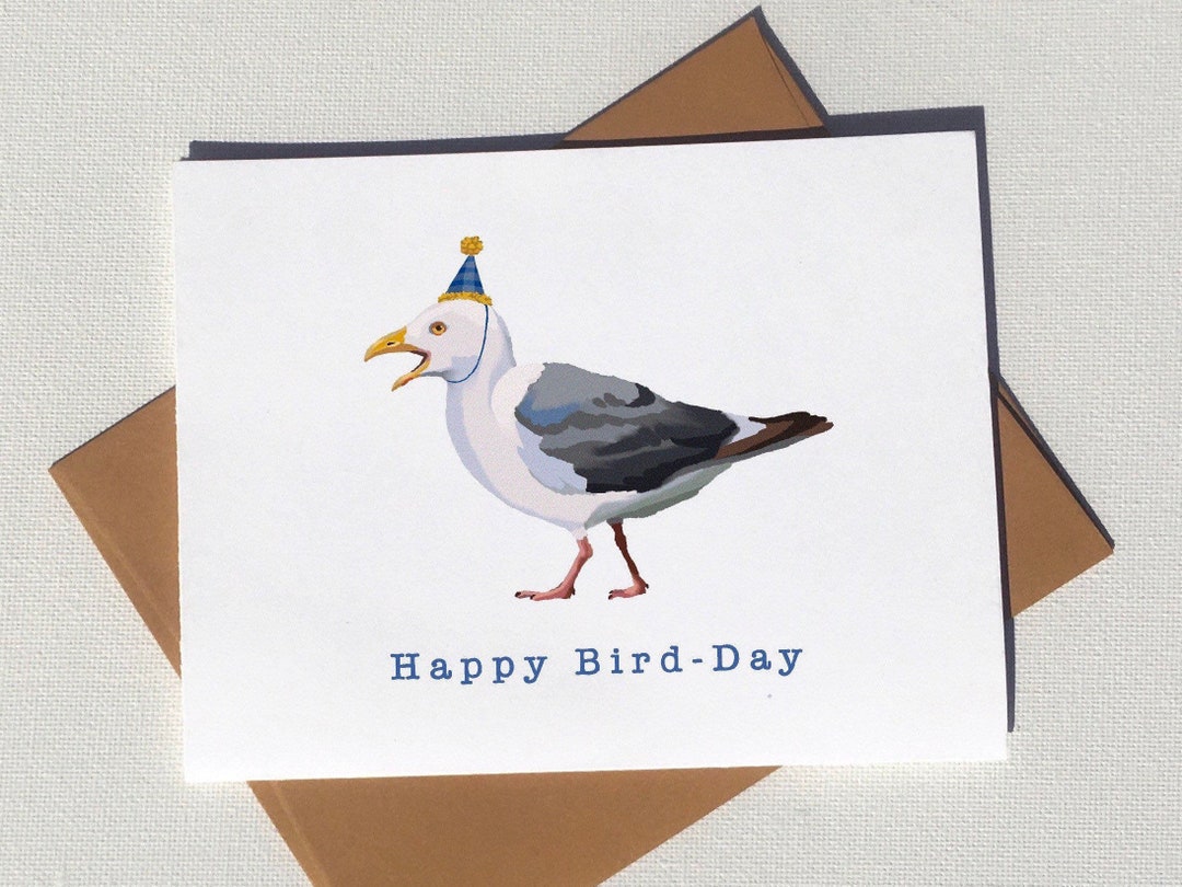 Seagull Birthday Card, Eco Friendly and Plastic Free, Funny Bird Pun ...