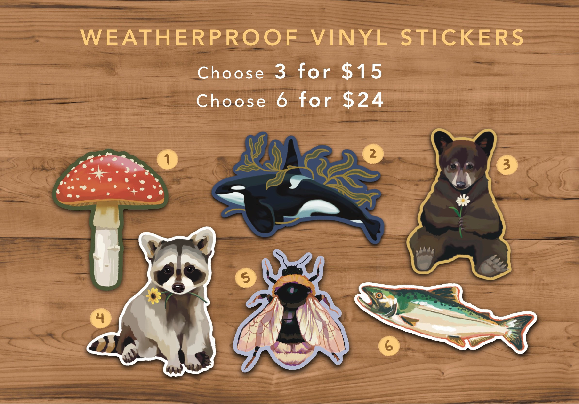 Salmon Vinyl Stickers // Laptop, Bullet Journal, Planner, Car or Laptop ...