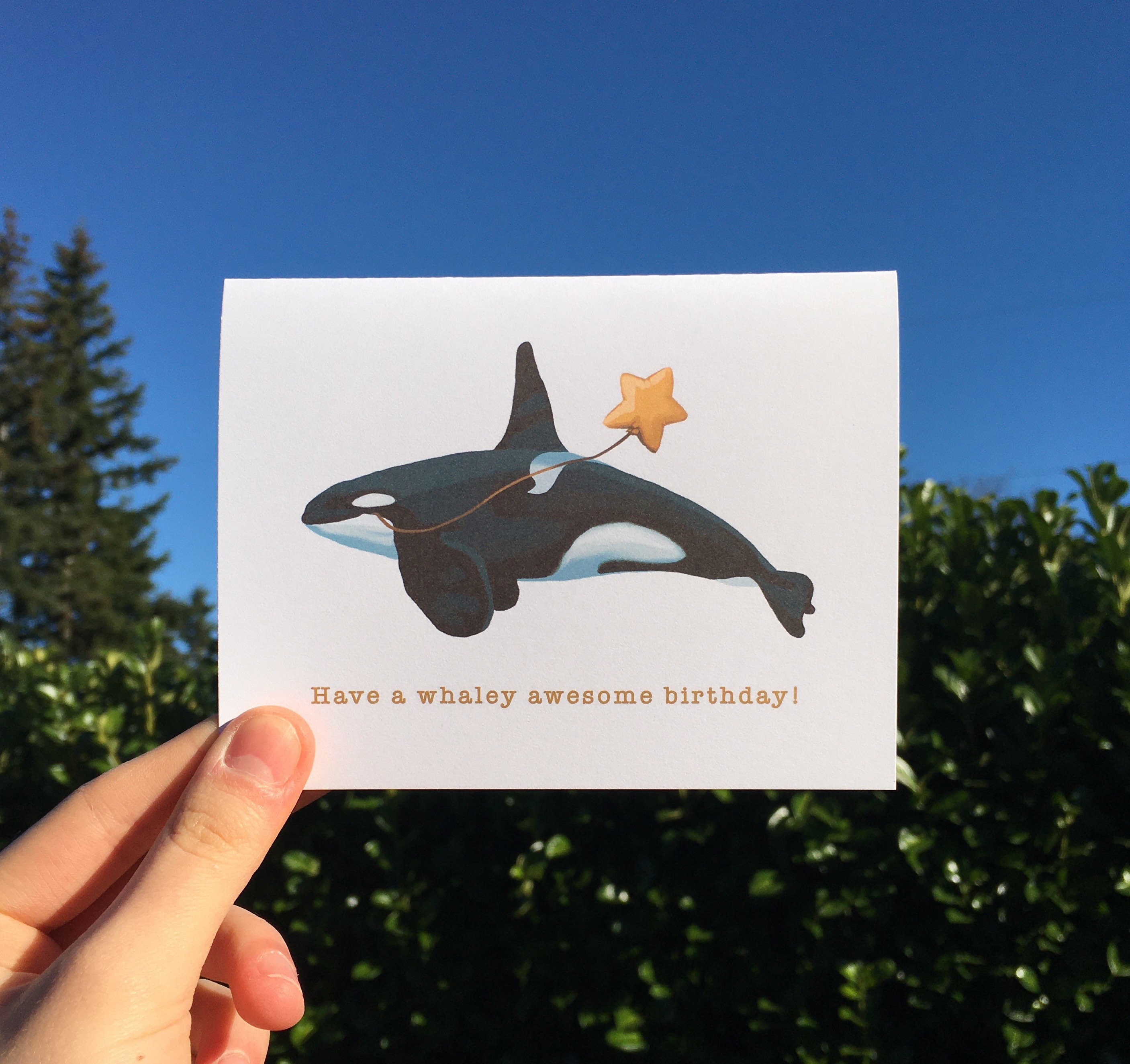 Orca Birthday Card Eco Friendly and Plastic Free Funny Pun - Etsy