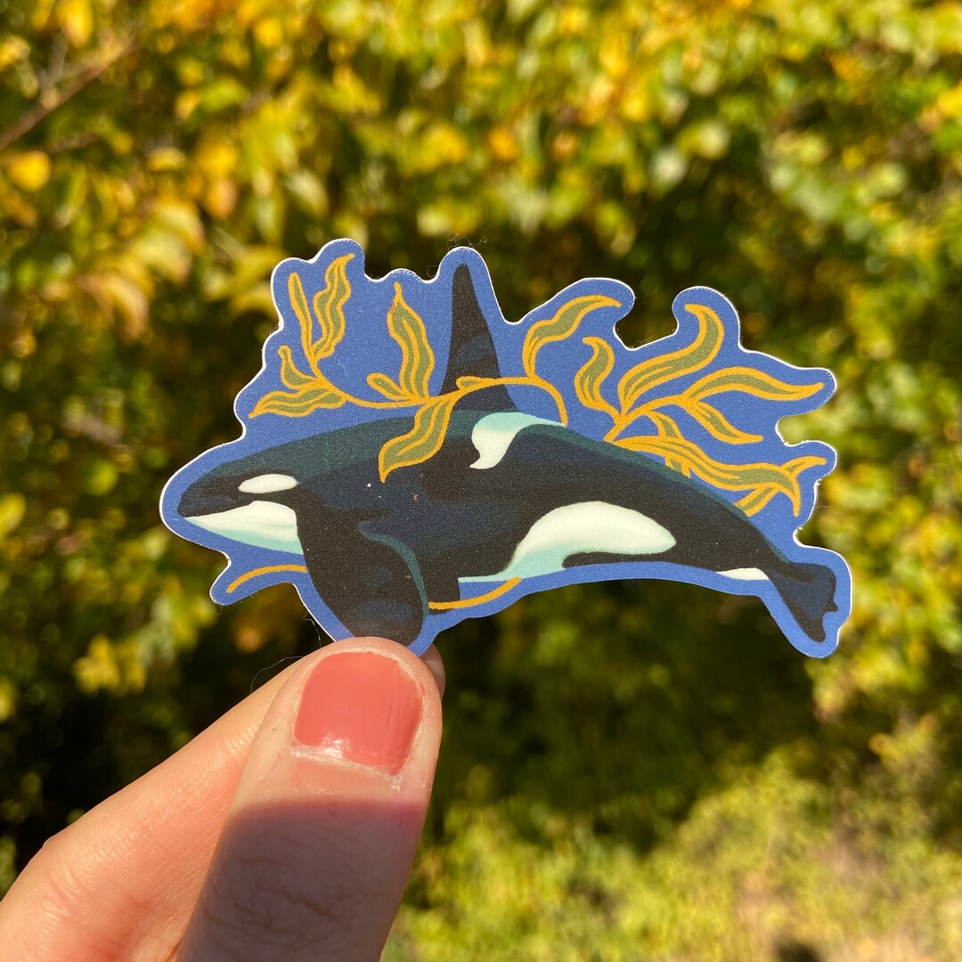 Orca & Kelp Vinyl Sticker // West Coast Laptop / Bullet Journal Planner ...