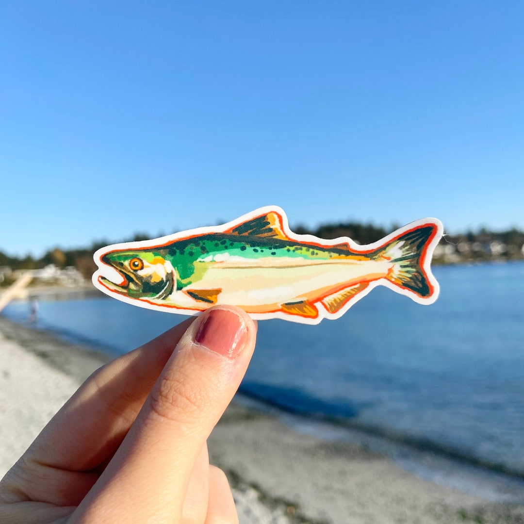 Salmon Vinyl Stickers // Laptop, Bullet Journal, Planner, Car or Laptop Sticker // Vancouver ...