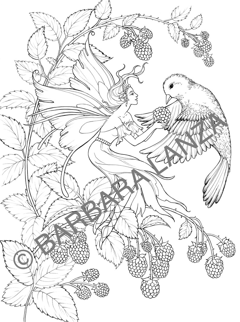 Fairies & Friends PDF Coloring Book for Download - Etsy