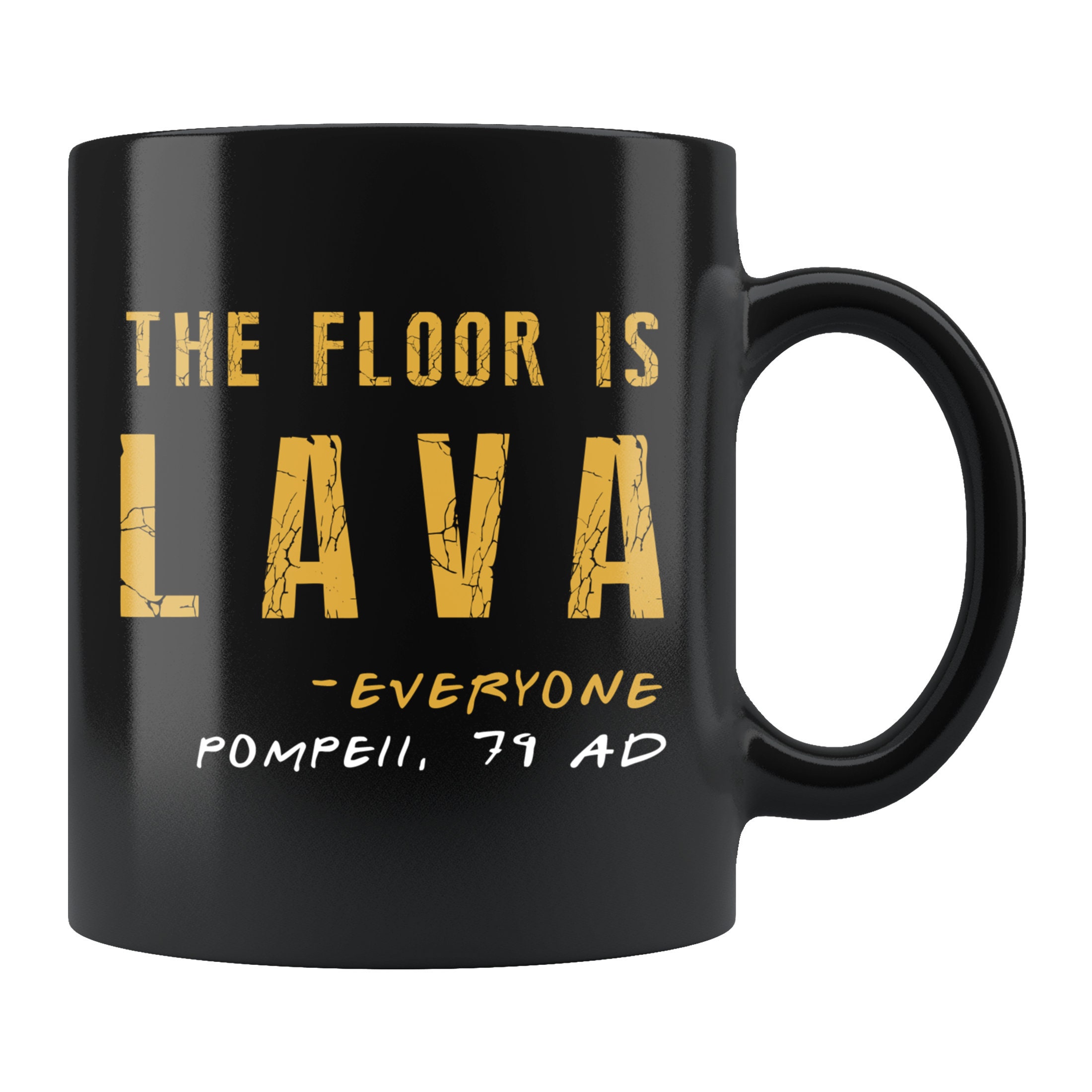 Sarcastic History Gift Funny History Mug History Teacher - Etsy