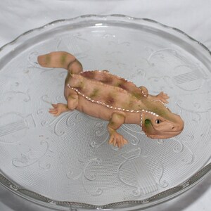 Fondant Bearded Dragon Cake Topper - Bearded Dragon Topper - Fondant ...