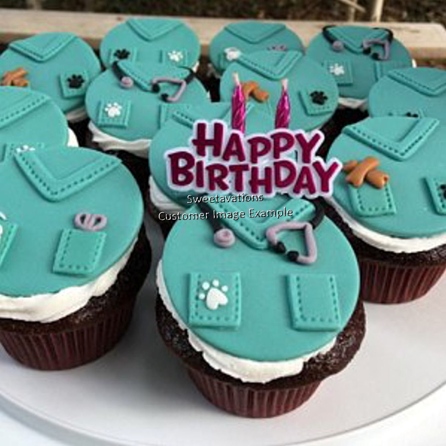 Fondant Vet Cupcake Topper Vet Topper Veterinarian Topper - Etsy