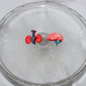 Fondant Medical Cake Topper - Fondant Heart - Fondant Brain - Fondant ...