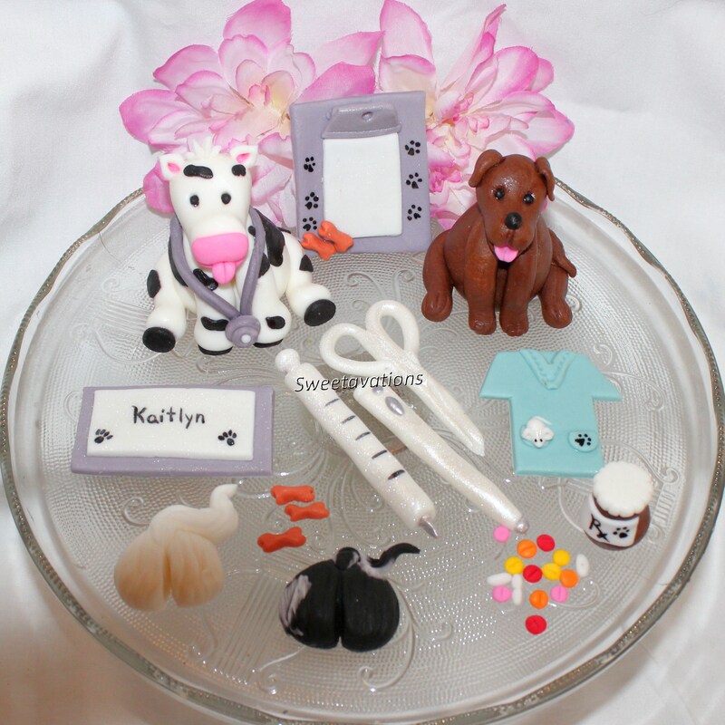 Vet Cake Topper - Etsy