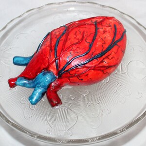 Fondant Human Heart Cake Topper - Medical Cake Topper - Fondant Heart ...