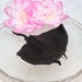 Fondant Stingray Cake Topper, Manta Ray, Hand-sculpted Sea Creature - Etsy