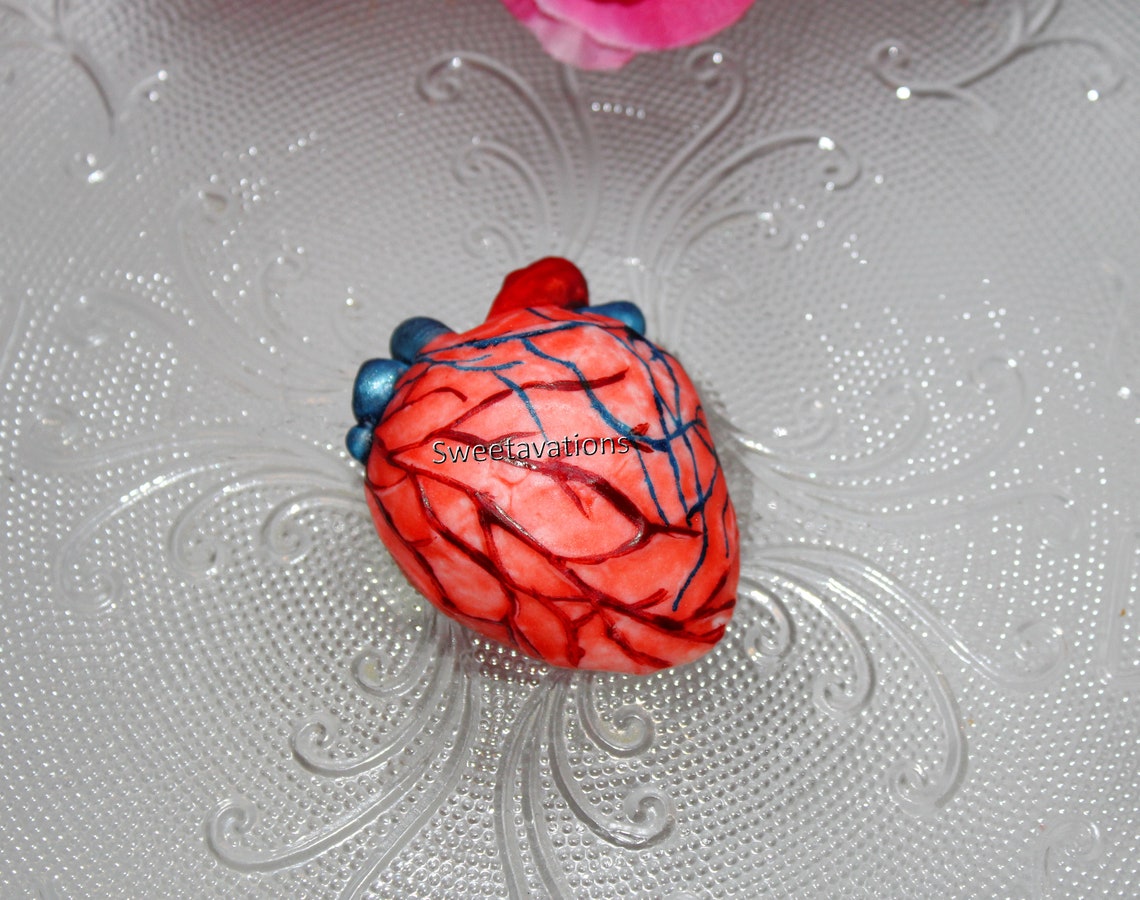 Fondant Human Heart Cake Topper Medical Cake Topper | Etsy