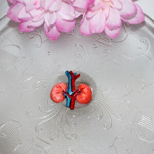 Fondant Medical Cake Topper - Fondant Heart - Fondant Brain - Fondant ...