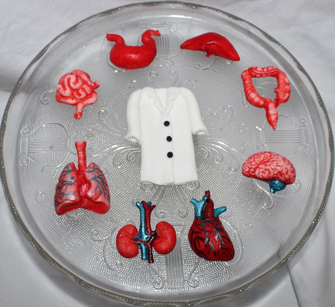 Fondant Medical Cake Topper - Fondant Heart - Fondant Brain - Fondant ...
