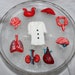 Fondant Medical Cake Topper - Fondant Heart - Fondant Brain - Fondant ...