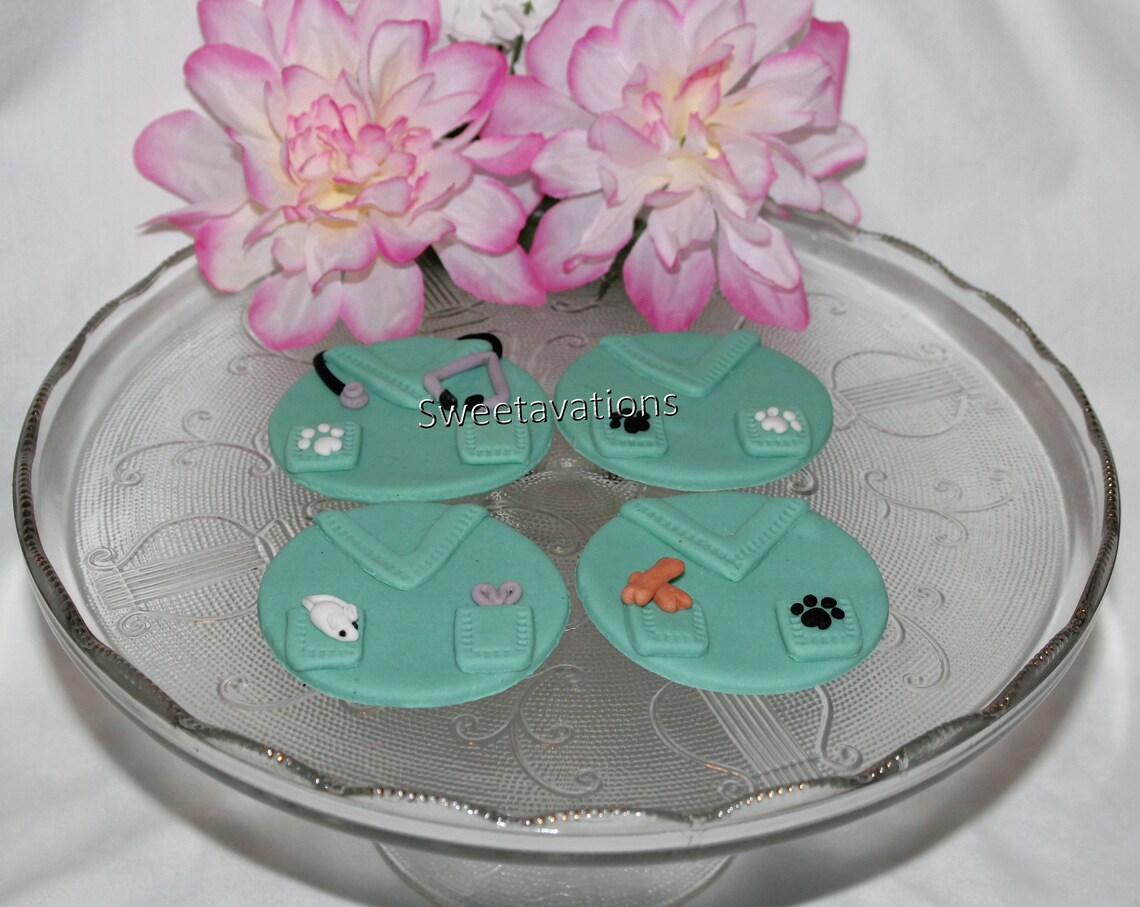 Fondant Vet Cupcake Topper Vet Topper Veterinarian Topper - Etsy