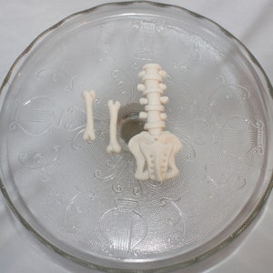 Fondant Physical Therapist Cake Topper - Physical Therapy Topper ...