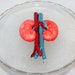 Fondant Medical Cake Topper - Fondant Kidney - Kidney Topper - Fondant ...