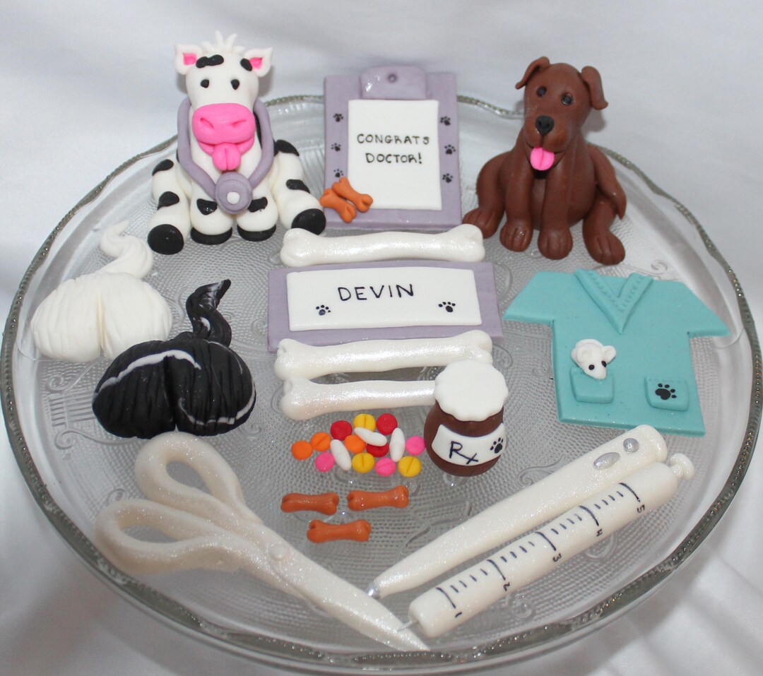 Fondant Vet Cake Topper - Vet Cake Decoration - Vet Cake - Veterinarian ...