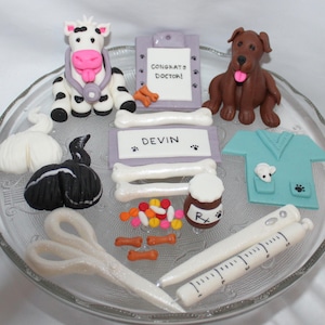 Fondant Vet Cake Topper - Vet Cake Decoration - Vet Cake - Veterinarian ...