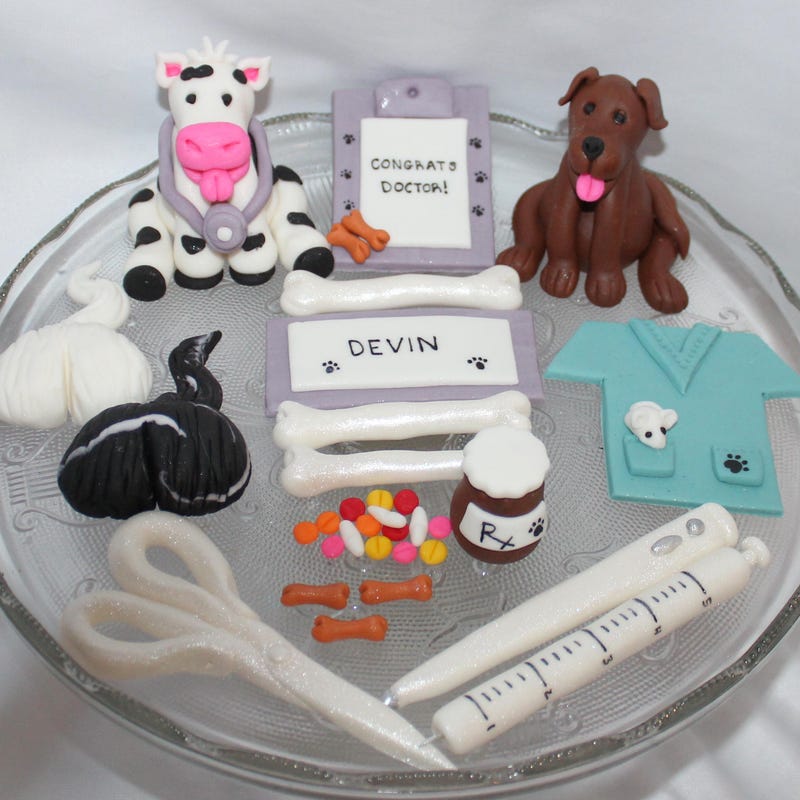Vet Cake Topper - Etsy