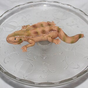 Fondant Bearded Dragon Cake Topper - Bearded Dragon Topper - Fondant ...