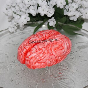 Fondant Brain Cake Topper Brain Topper Medical Cake Topper - Etsy