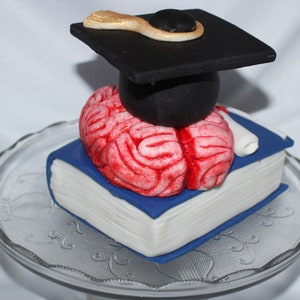 Fondant Graduation Cake Topper - Book Cake Topper - Medical Graduation ...