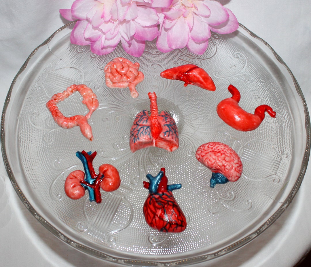 Fondant Medical Cake Topper - Fondant Heart - Fondant Brain - Fondant ...