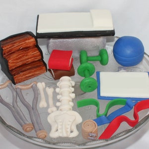 Fondant Physical Therapist Cake Topper - Physical Therapy Topper ...