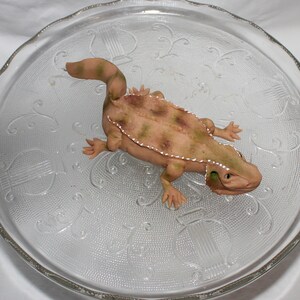 Fondant Bearded Dragon Cake Topper - Bearded Dragon Topper - Fondant ...