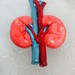 Fondant Medical Cake Topper - Fondant Kidney - Kidney Topper - Fondant ...