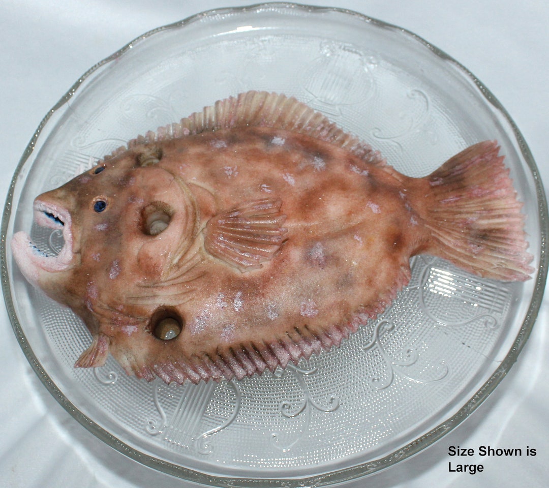 Fondant Fish Cake Topper, Hand-sculpted Flounder, Fisherman Birthday ...
