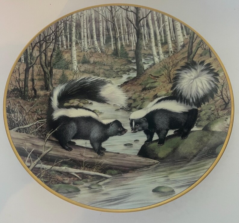 Striped Skunks at March Stream 1981 - Etsy